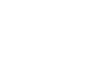 Whipmix – Helping Dental Professionals Succeed